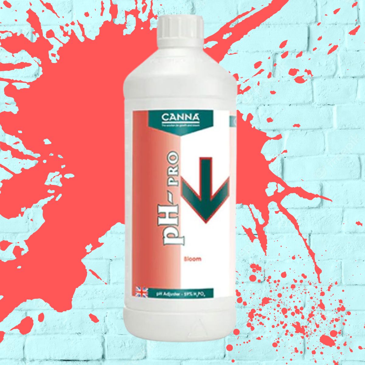 Canna pH- Pro Bloom - Bloom Ph- – Little Shop Of Hydro